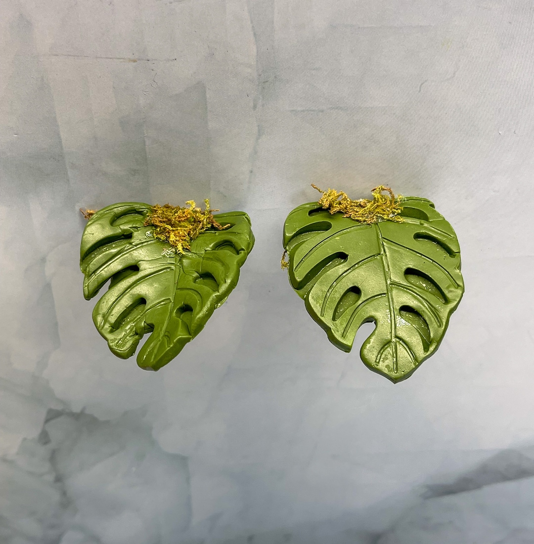 Jumping Spider Magnet Ledge, Accessories for Jumping Spider Enclosure ...