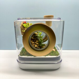 Jumping Spider Enclosure, 5x5x5 Spider House, Spider Tank, Spider ...