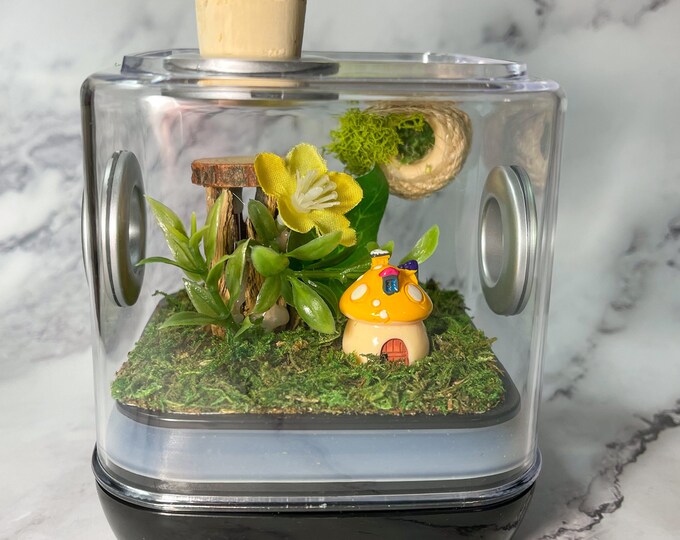 Jumping Spider Enclosure 4x4x3.5house Tank Spider Habitat - Etsy