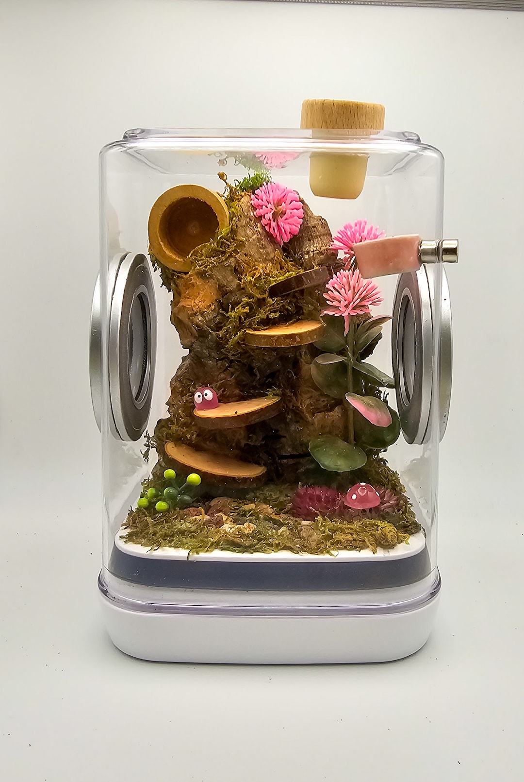 Jumping Spider Enclosure, 5x5x7, READY TO SHIP, Spider House, Spider ...