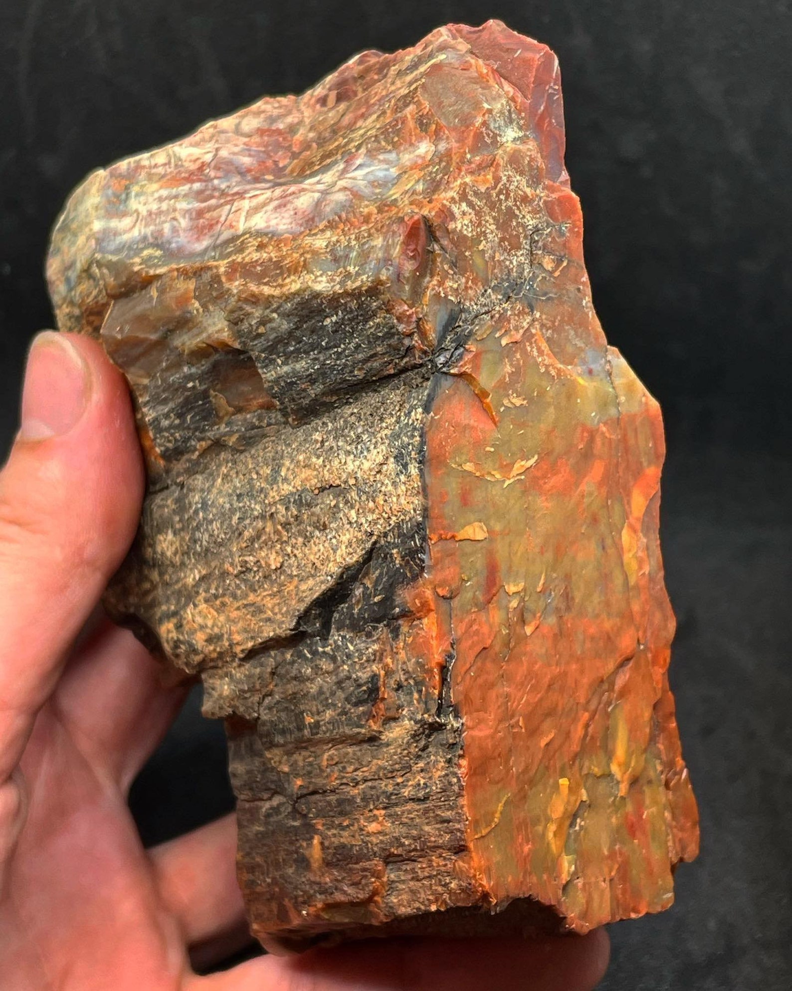 Large Agatized Fossilized Wood Stone Specimen - Etsy