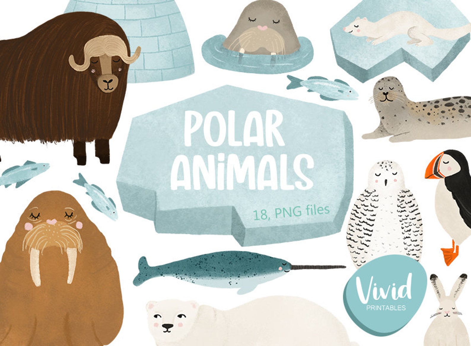 Polar Animals Clipart Set, 18 PNG Files, Instant Digital Download ...