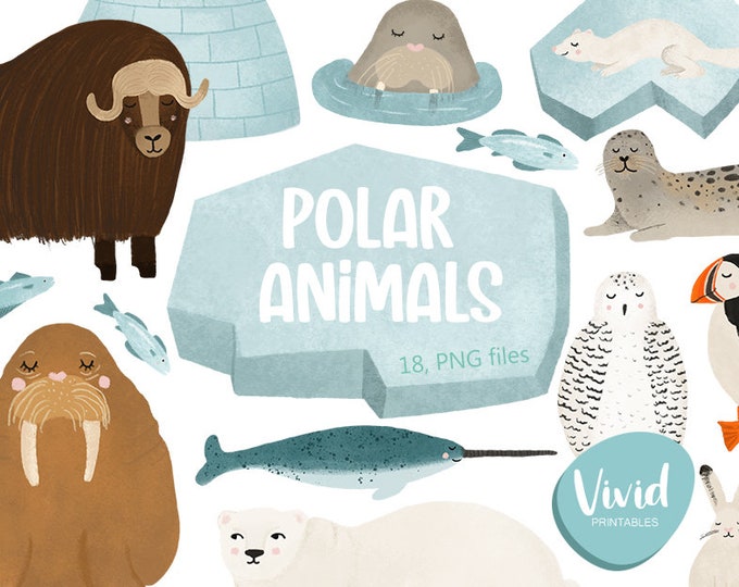 Polar Animals Clipart Set, 18 PNG Files, Instant Digital Download ...