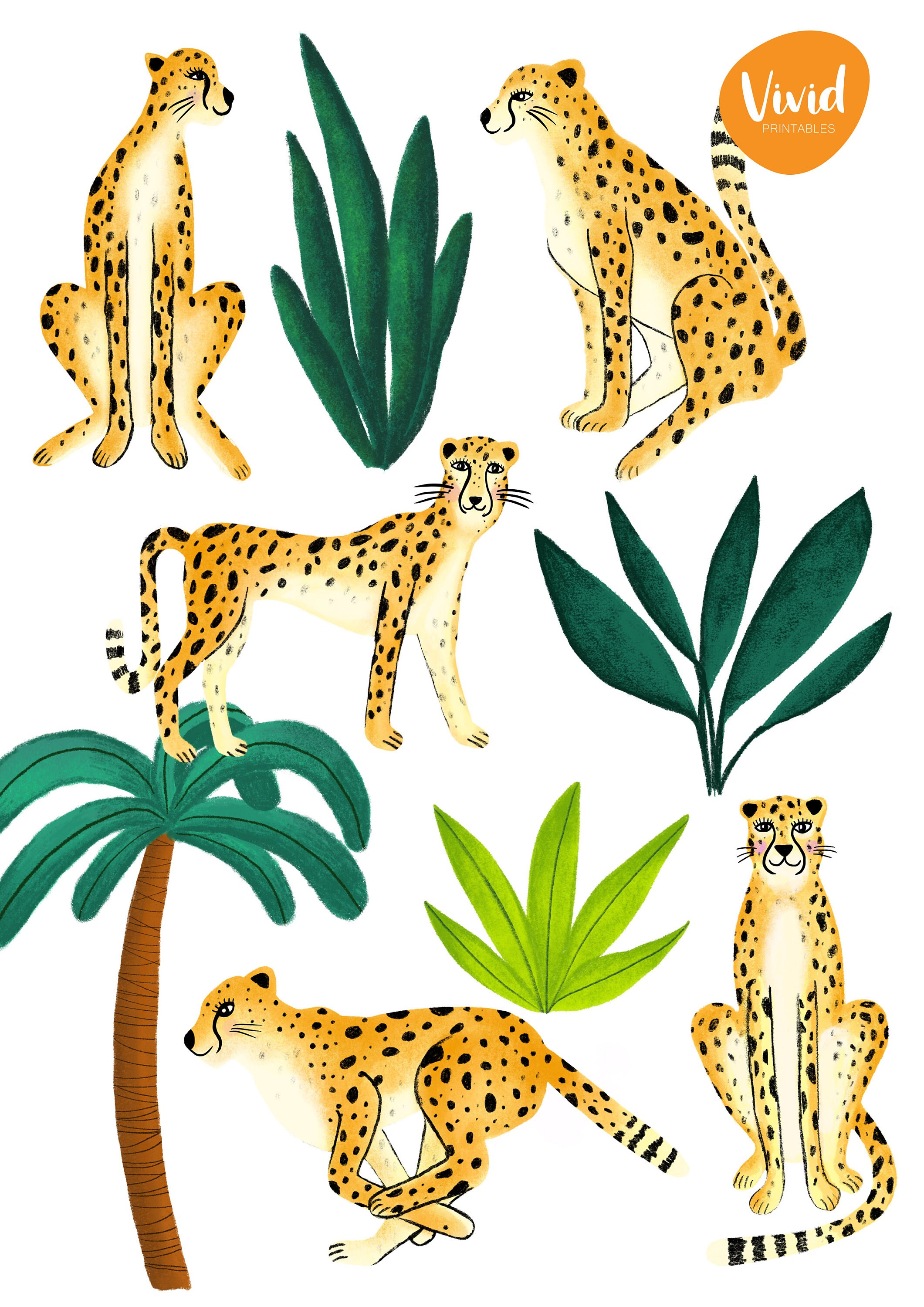 Cheetah Clipart Set Instant Digital Download Safari Animals - Etsy