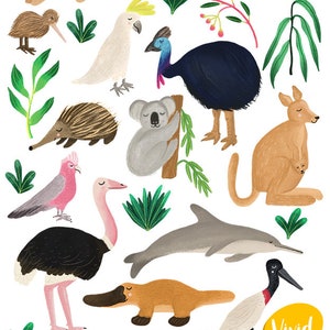 Australian Animals Clipart Set, Instant Digital Download, Png Files ...