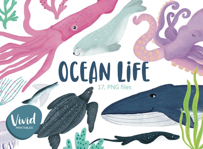 Ocean Life Clipart Set, Instant Digital Download, 17 PNG Files, Sea ...