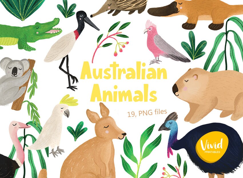 Australian Animals Clipart Set, Instant Digital Download, Png Files ...