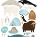 Polar Animals Clipart Set, 18 PNG Files, Instant Digital Download ...