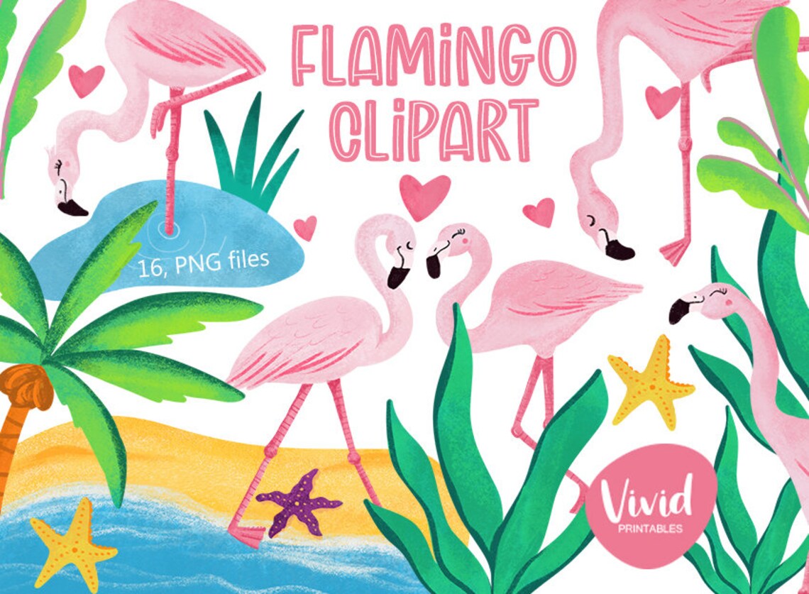 Flamingo Clipart Set, Instant Digital Download, Tropical Clipart - Etsy