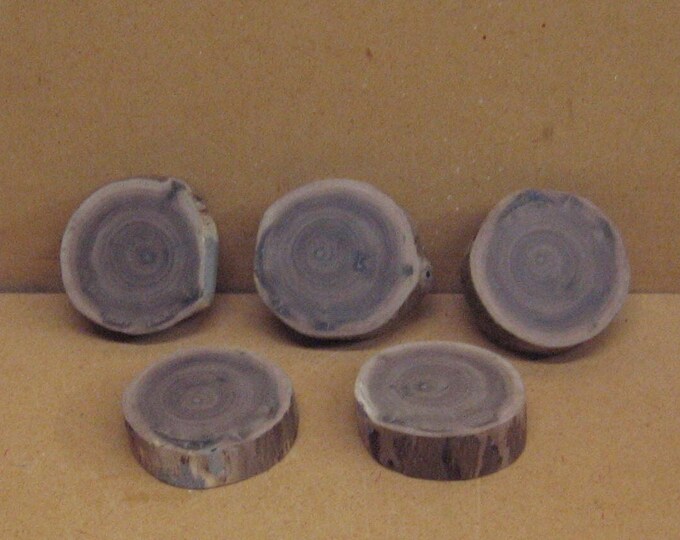 5 Smaller Black Walnut Slices, Dark Markings and No Bark - Etsy