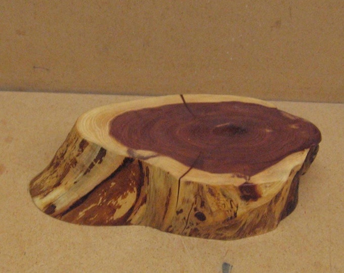 Red Cedar Stump, Great Colors and a Knob on One End, Sealed With Clear ...