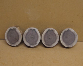 Black Walnut Rounds - Etsy