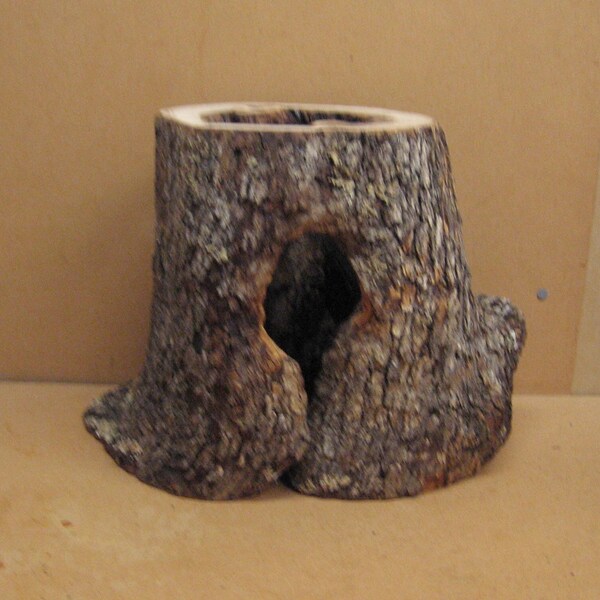 Oak Stump - Etsy