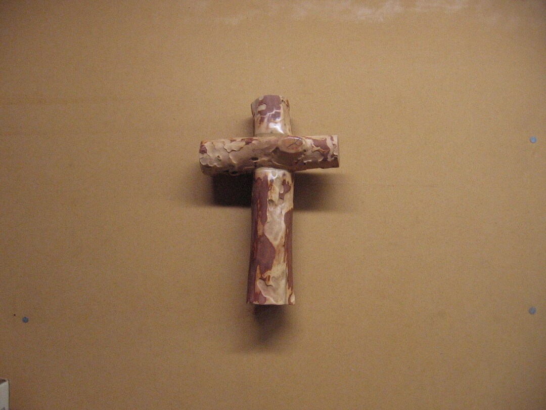 Dogwood Log Cross Thicker Logs Than Some With Very Interesting Bug ...