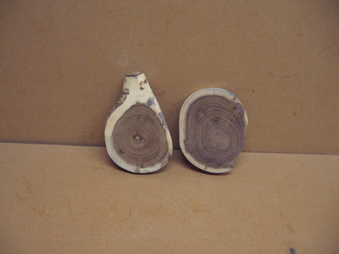 2 Odd Shaped Mulberry Slabs With Rich Golden Brown Color. - Etsy