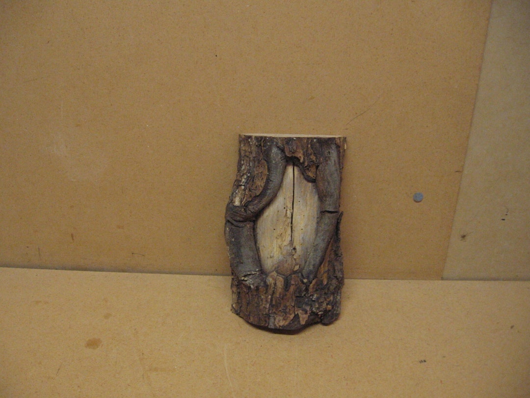 Face Slice of a Hickory Log With a Fun Looking Fairy Door or Knothole ...