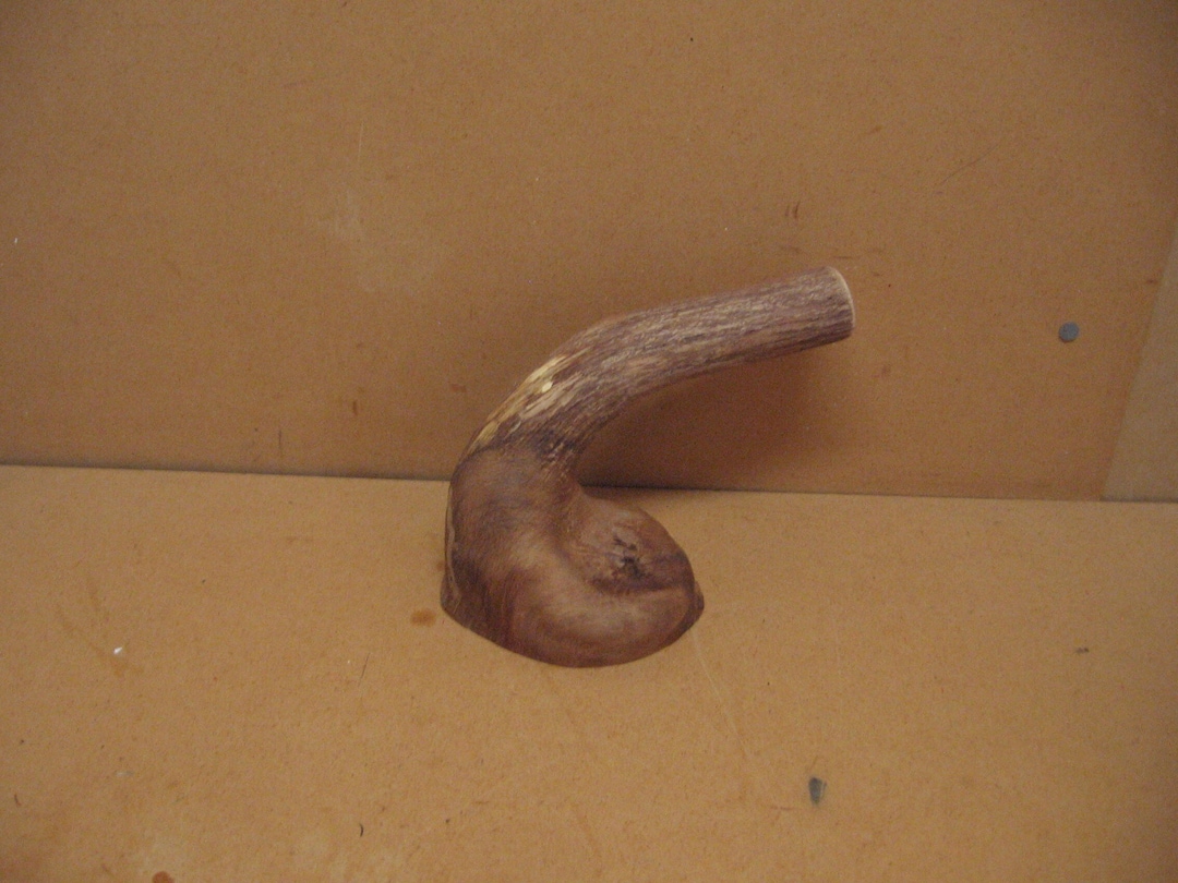 Funky Oak Tree Knot With a Long Limb, Free Standing - Etsy