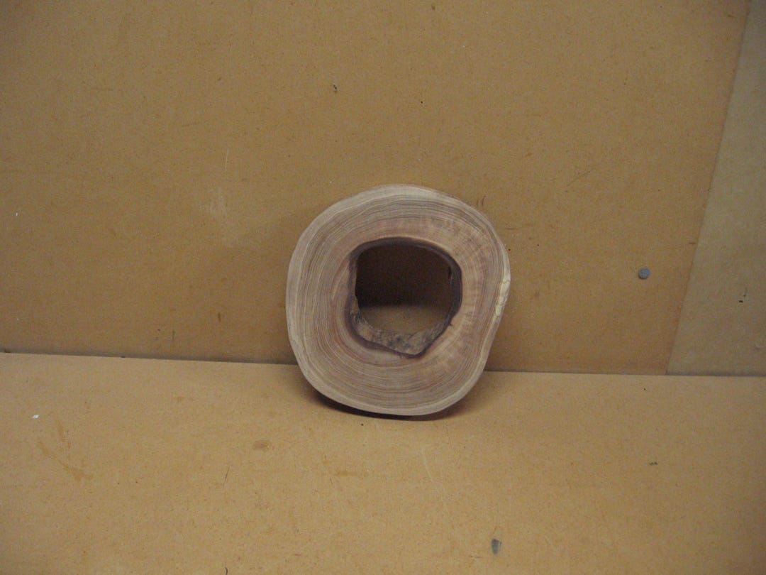 Elm Slab With Odd Shaped Center Hole, Ready to Use for Many Crafts. - Etsy