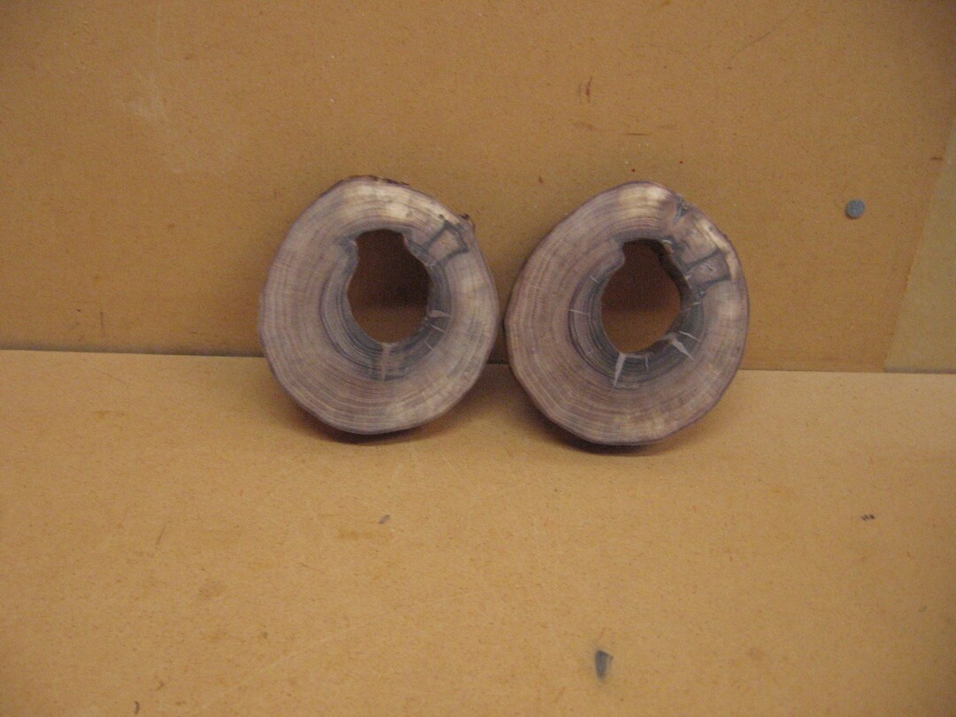 2 Black Walnut Slabs With Key Hole Shaped Center Hole, Great Light and ...