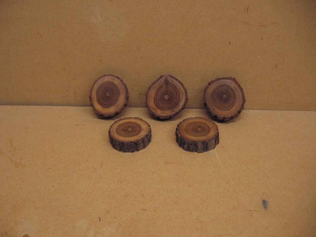 5 Small Black Walnut Slabs With Pretty Heavy Bark - Etsy
