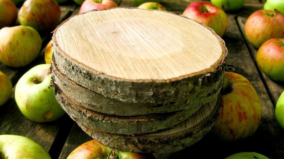 Rustic Wooden Slab Trivet: Birch, Cherry, Poplar Wood Display (10cm ...