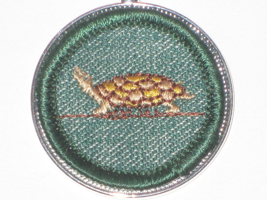 Turtle Necklace Girl Scout Reptile Amphibian Badge Rare Intermediate ...