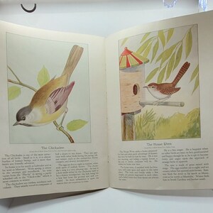 Almost-antique 1928 “birds We Know” Book of Paintings by Ray Gleason - Etsy
