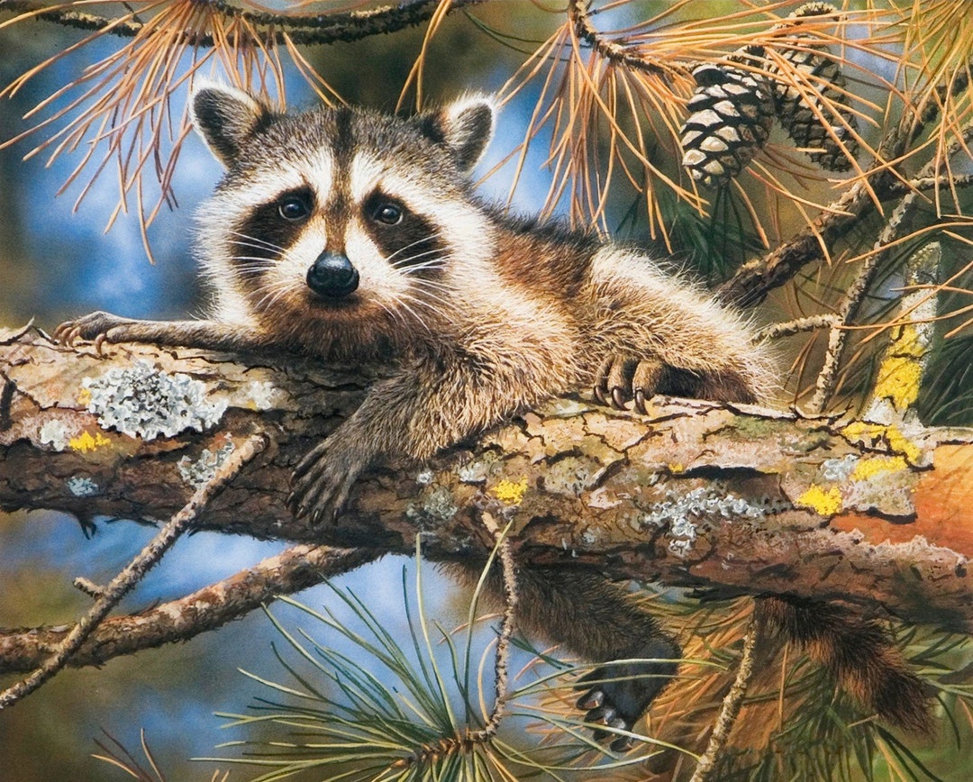 Out on a Limb Panel - Raccoon Panel - David Textiles - 36" Wide by 44 ...