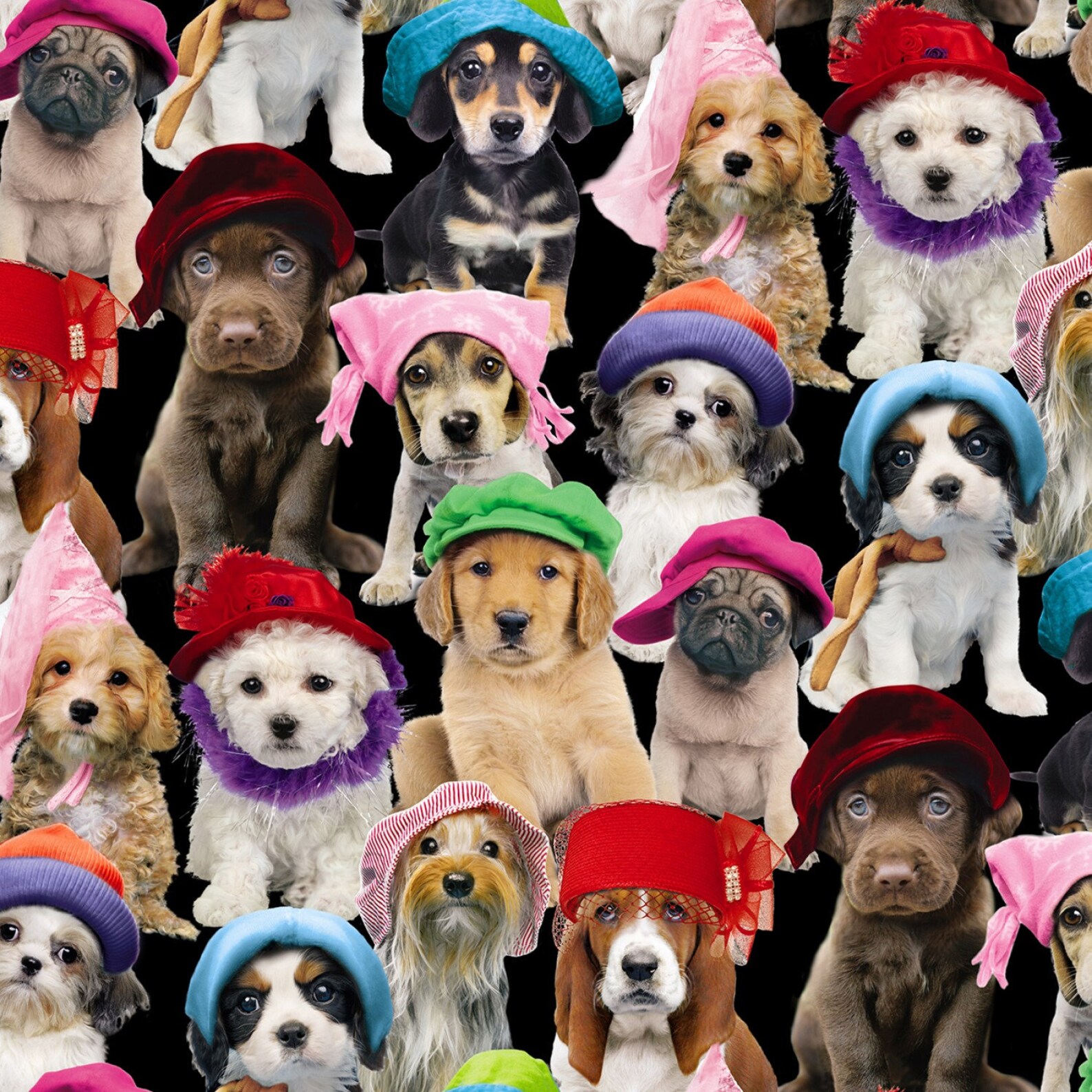 Puppies in Hats Adorable Pets by Elizabeth Studios Fabrics - Etsy