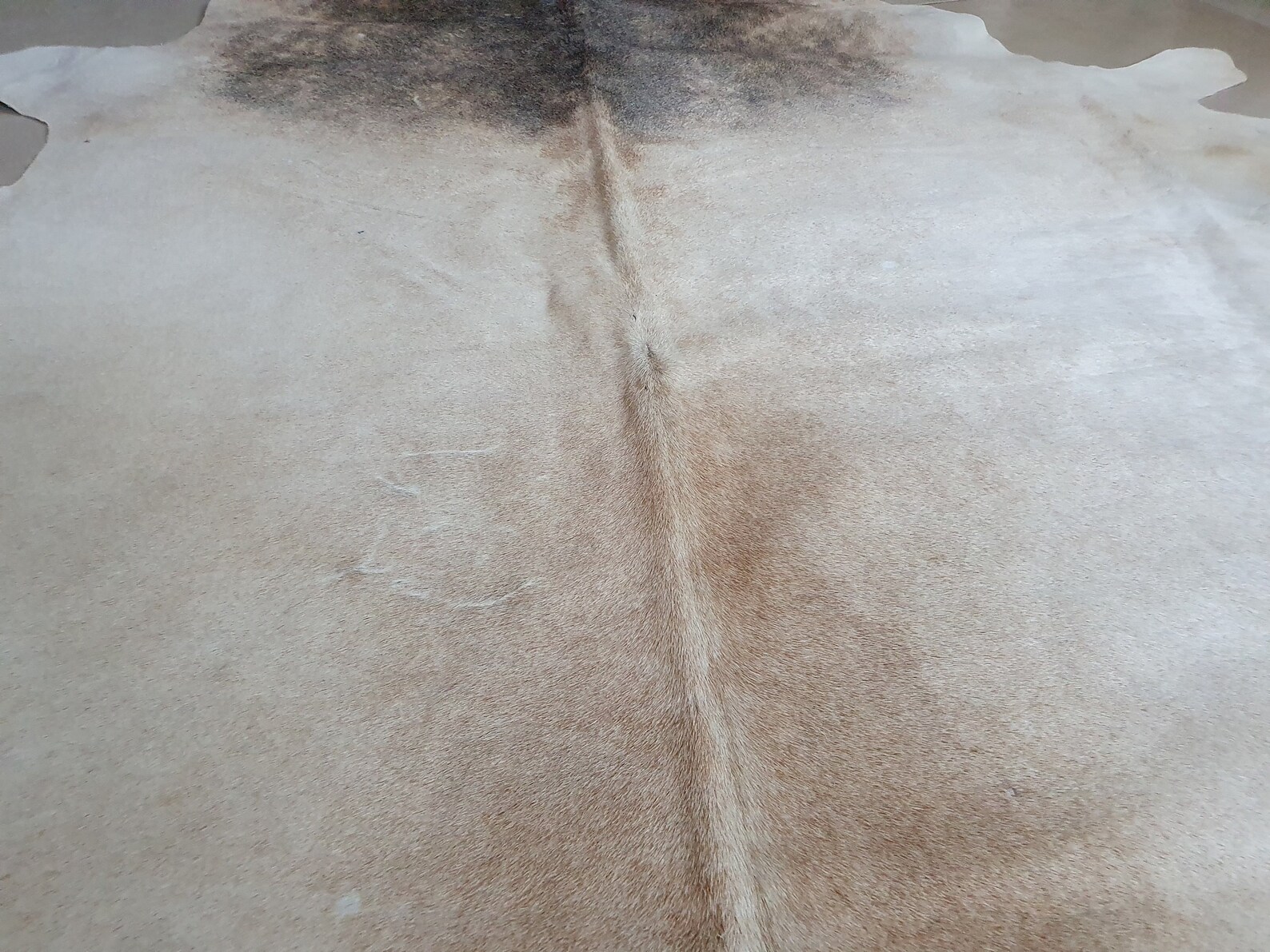 GRAY CAMEL LARGE Cowhide Rug Cow Skin Leather Carpet Cow Hide | Etsy