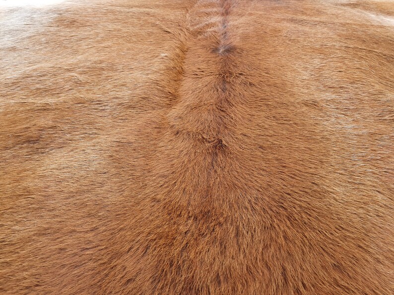 Gorgeous LARGE CARAMEL Cowhide Rug Unique Peau De Vache. Piel - Etsy