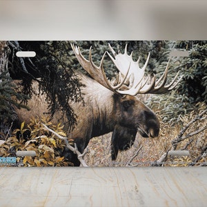 Moose Hunting License Plate Moose Hunter Car Tag Moose | Etsy