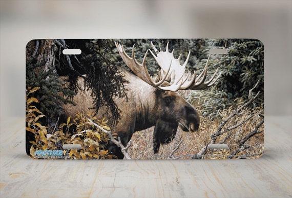 Moose Hunting License Plate Moose Hunter Car Tag Moose | Etsy