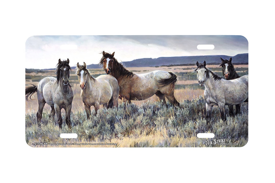 Horses License Plate, Horses Car Tag, Horses Front License Plate ...
