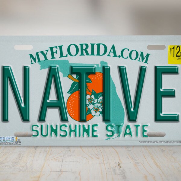 Decorative License Plates for Front of Car - Etsy