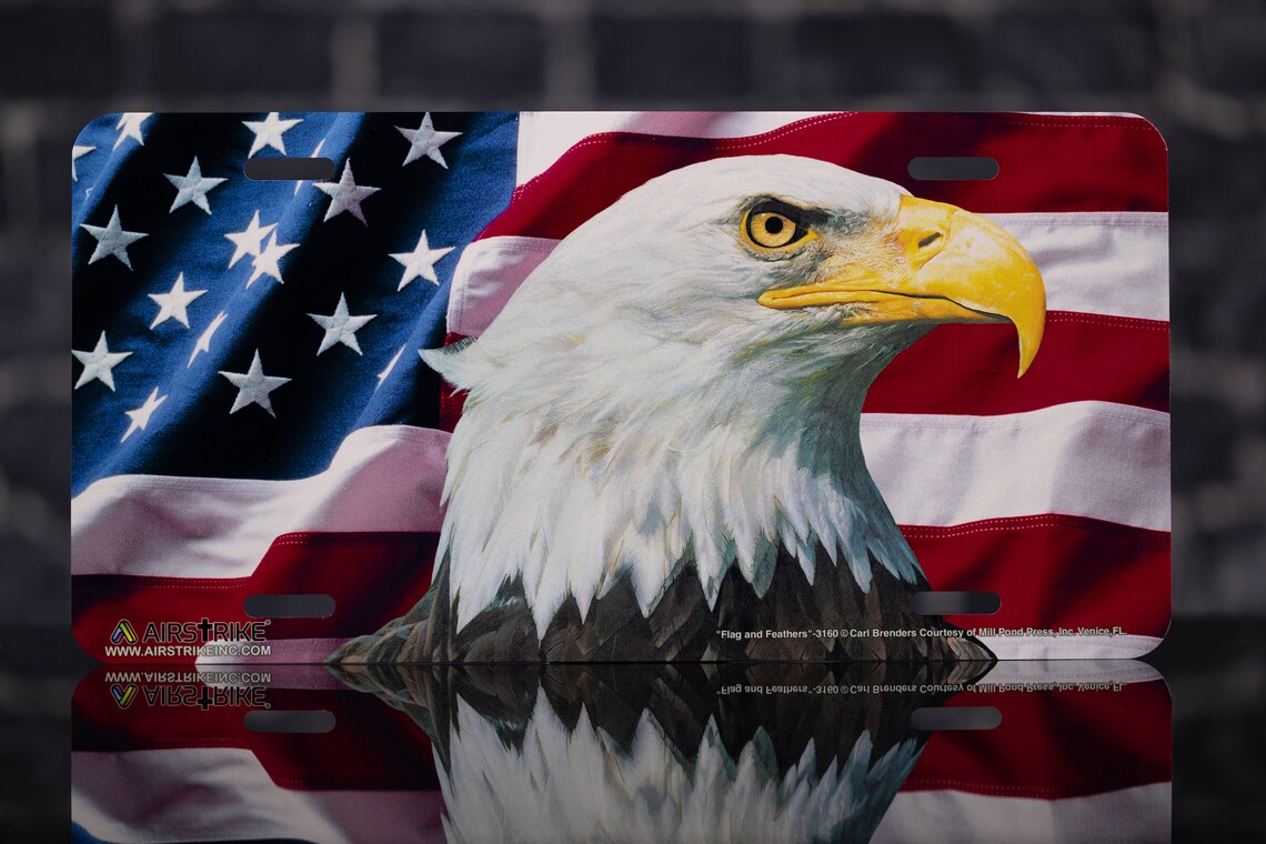 3160-”patriotic Power”-american Flag and Bald Eagle Decorative License ...