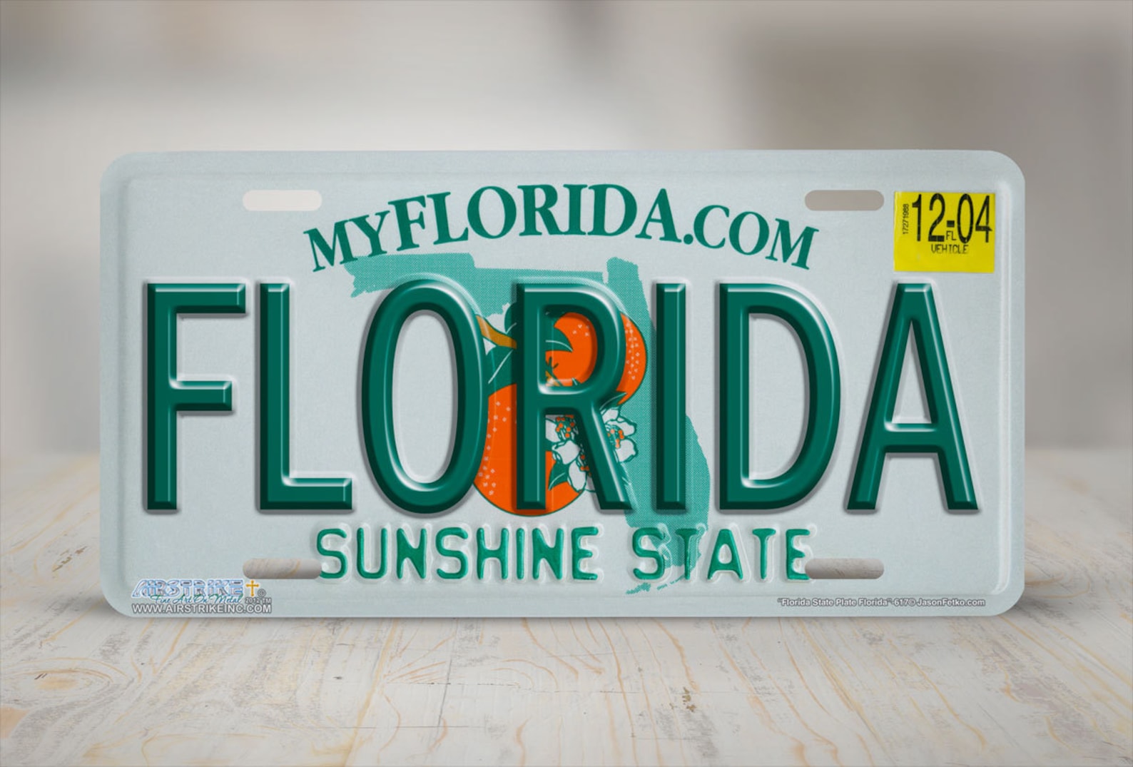 Florida State License Plate Florida State Car Tag Florida | Etsy