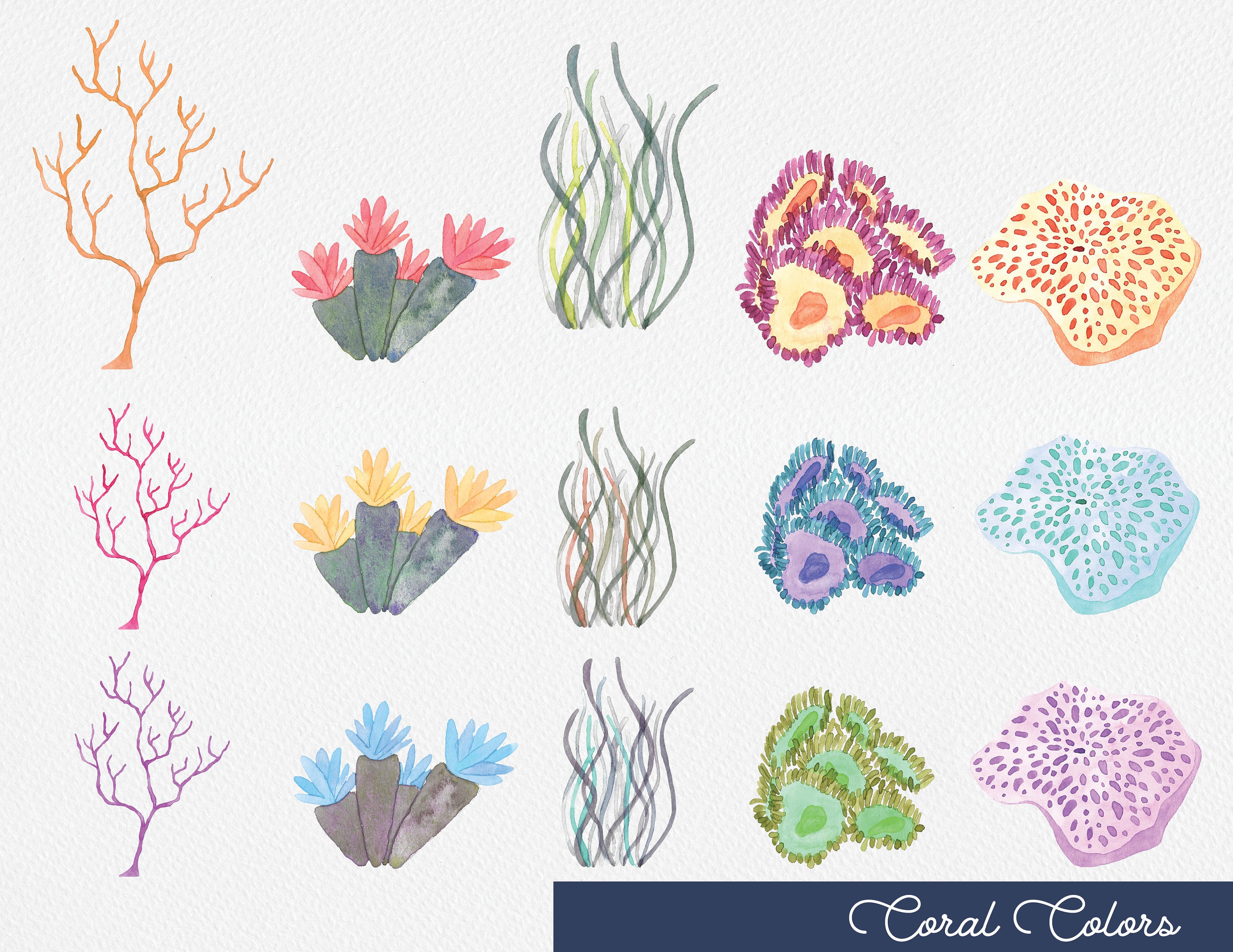 Coral Watercolor Graphics Collection Clip Art Bundle Instant - Etsy