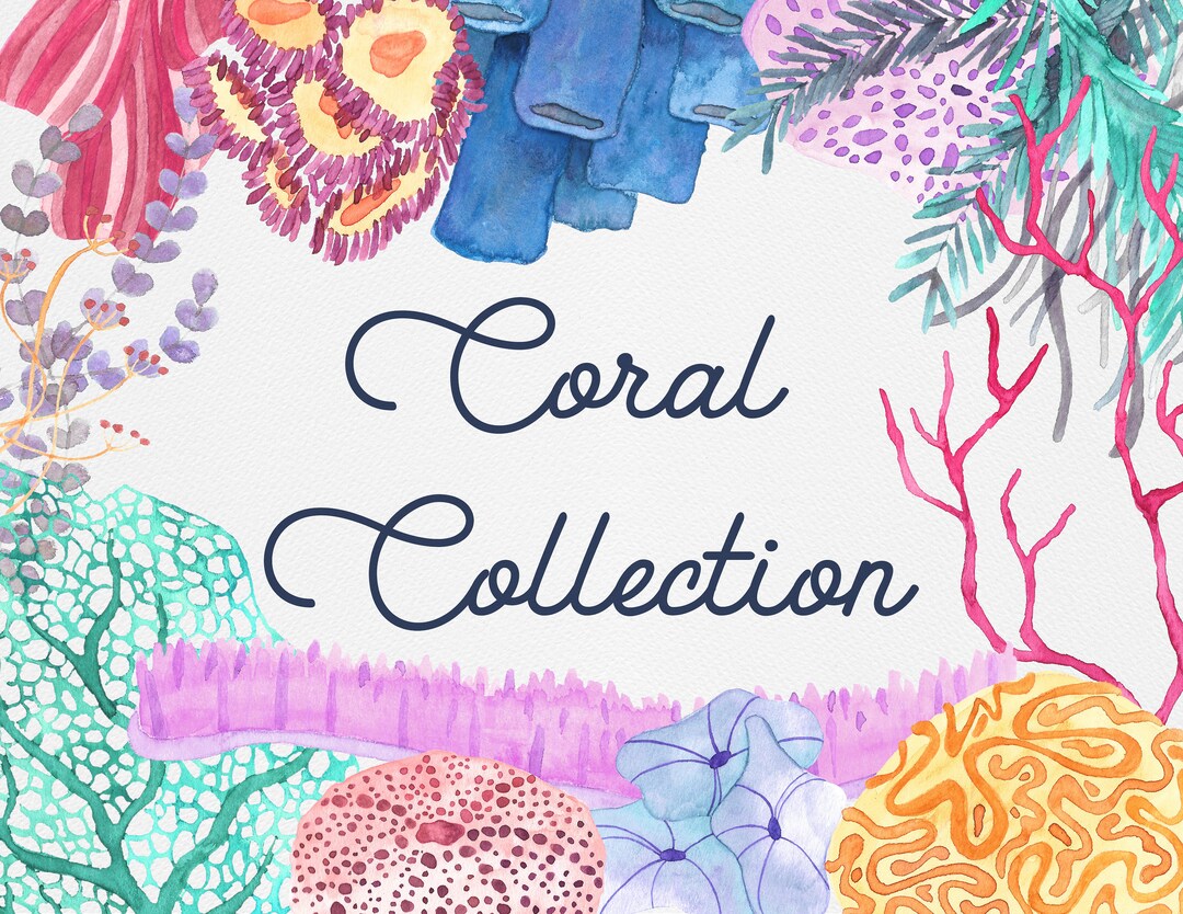 Coral Watercolor Graphics Collection, Clip Art Bundle Instant, Download ...