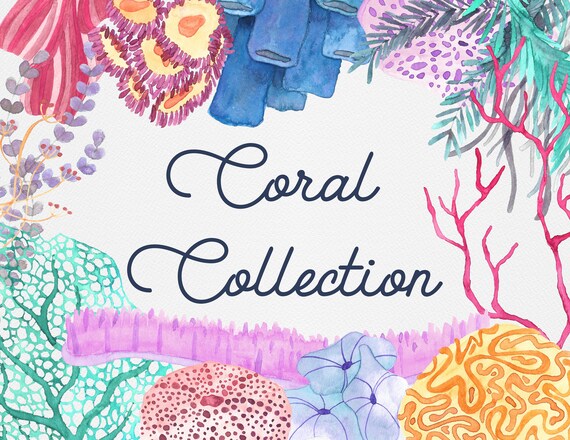 Coral Watercolor Graphics Collection Clip Art Bundle Instant | Etsy