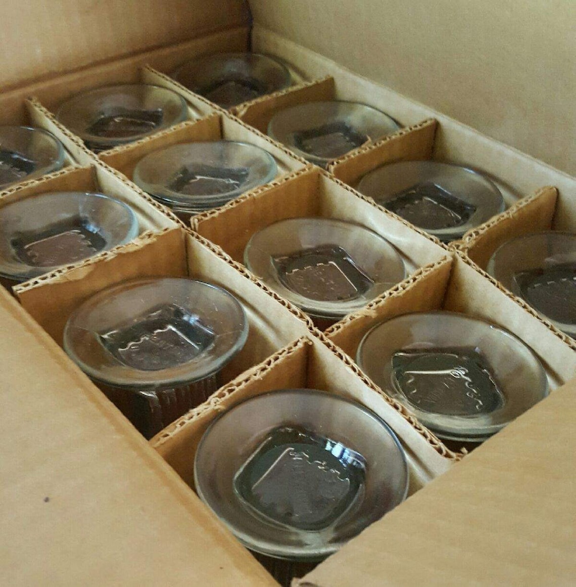 24 Piece Lot TC Wheaton Glass Coplin Staining Jars Lidded Slides ...