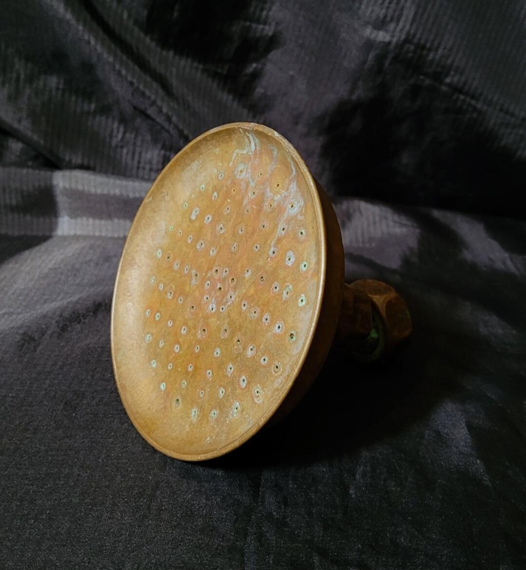 Antique Crane 5” Solid Brass Showerhead Architectural Salvage Plumbing ...