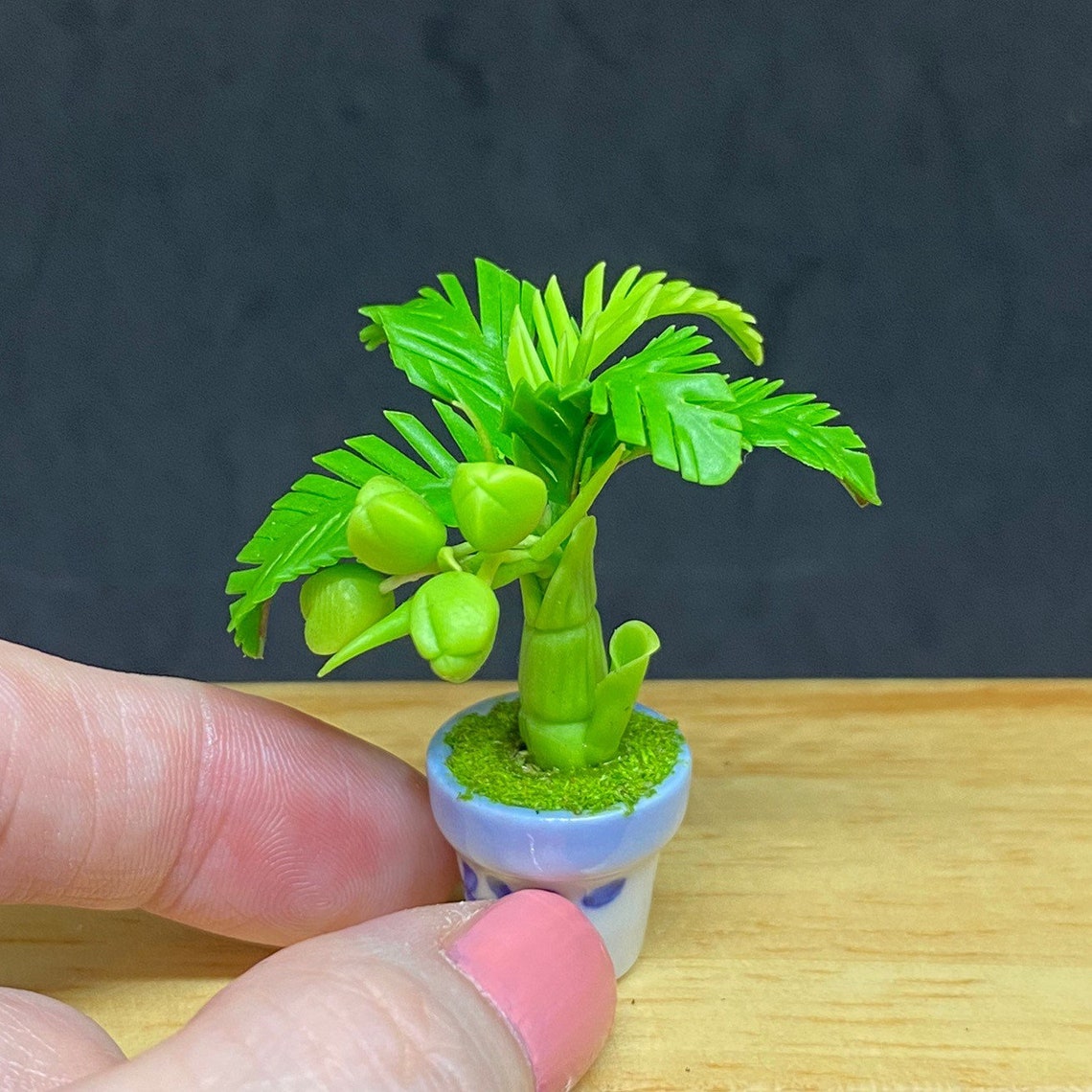 Miniature Coconut Tree miniature Treeminiature Flower - Etsy