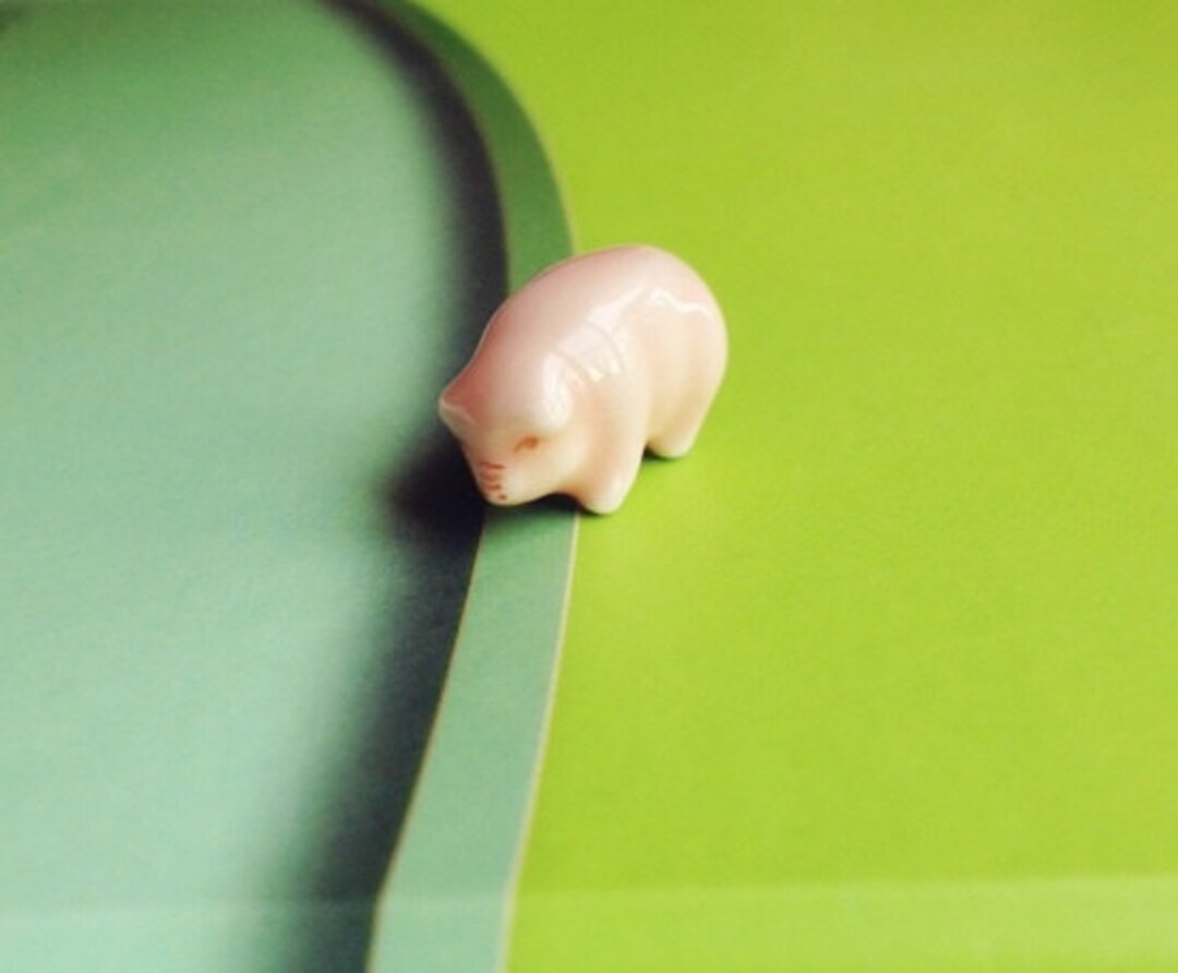 Miniature Pig,miniature Piggy,miniature Animal,tiny Pig,animal ...