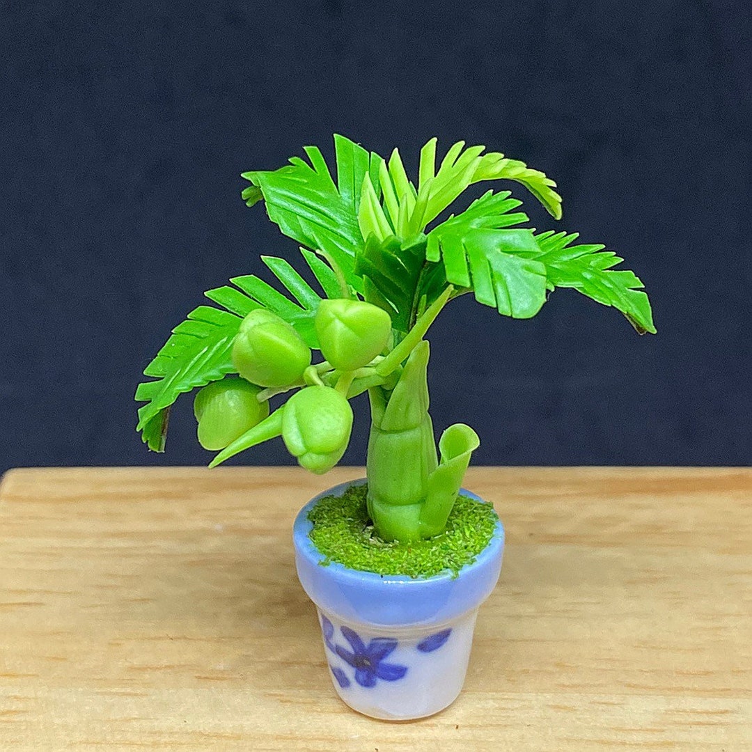 Miniature Coconut Tree ,miniature Tree,miniature Flower Pot,dollhouse ...