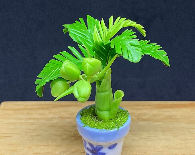 Miniature Coconut Tree miniature Treeminiature Flower - Etsy