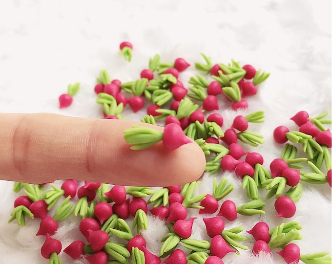 Miniature Red Radish,miniature Vegetable,small Red Turnip, Dolls House ...