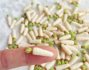 10 or 20 Pcs. Miniature White Radish Miniature White Turnip - Etsy