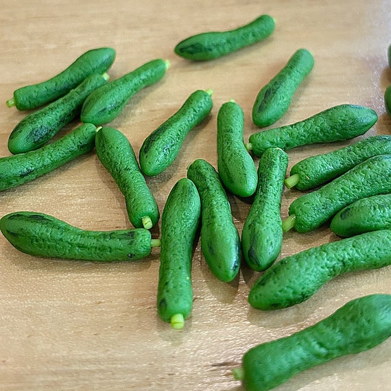 Miniature Japanese Cucumber Miniature Vegetable Miniature | Etsy