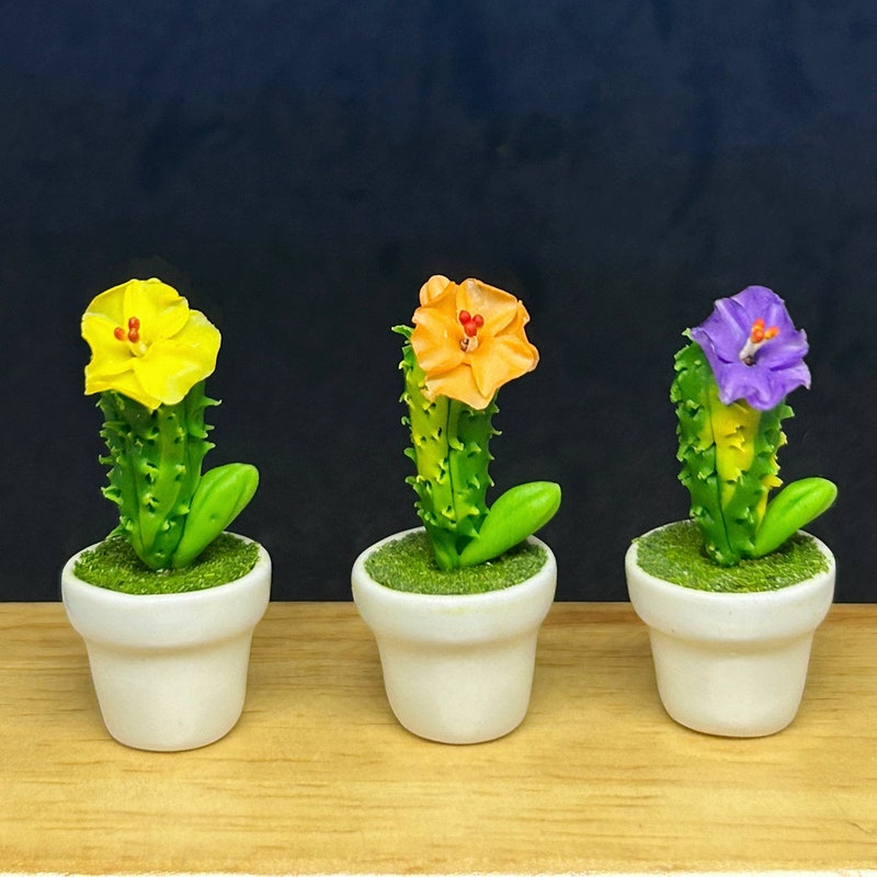 Miniature Cactus - Etsy